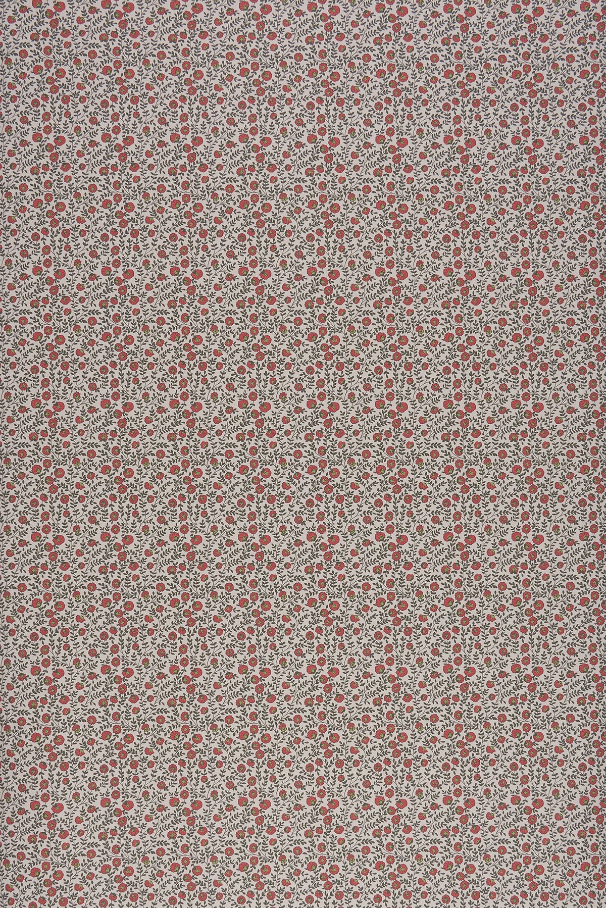 Vetch - Red by Sarah Vanrenen – Vanrenen Hanbury
